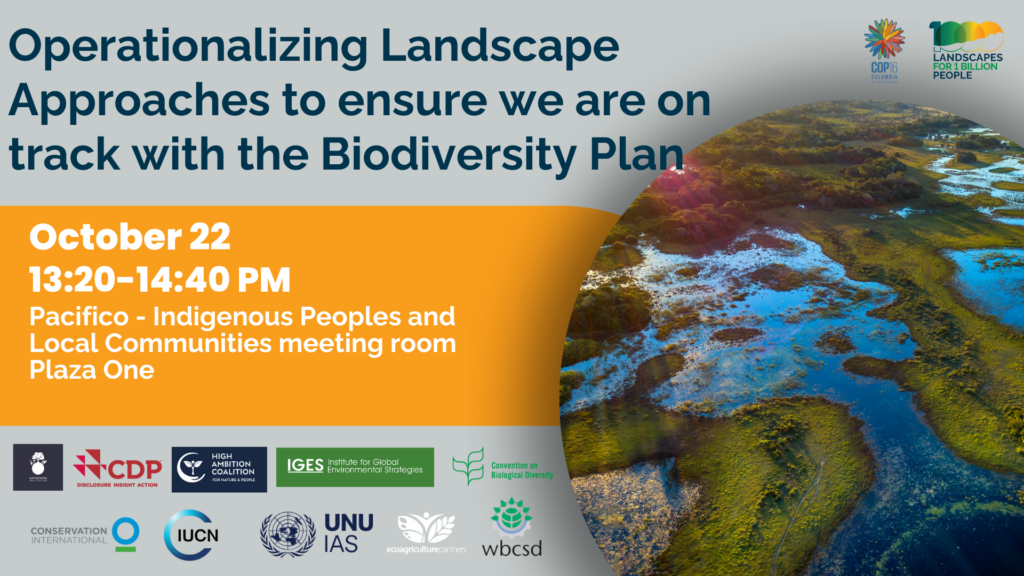 1000L at COP 16: Operationalizing Landscape Approaches to ensure we are ...