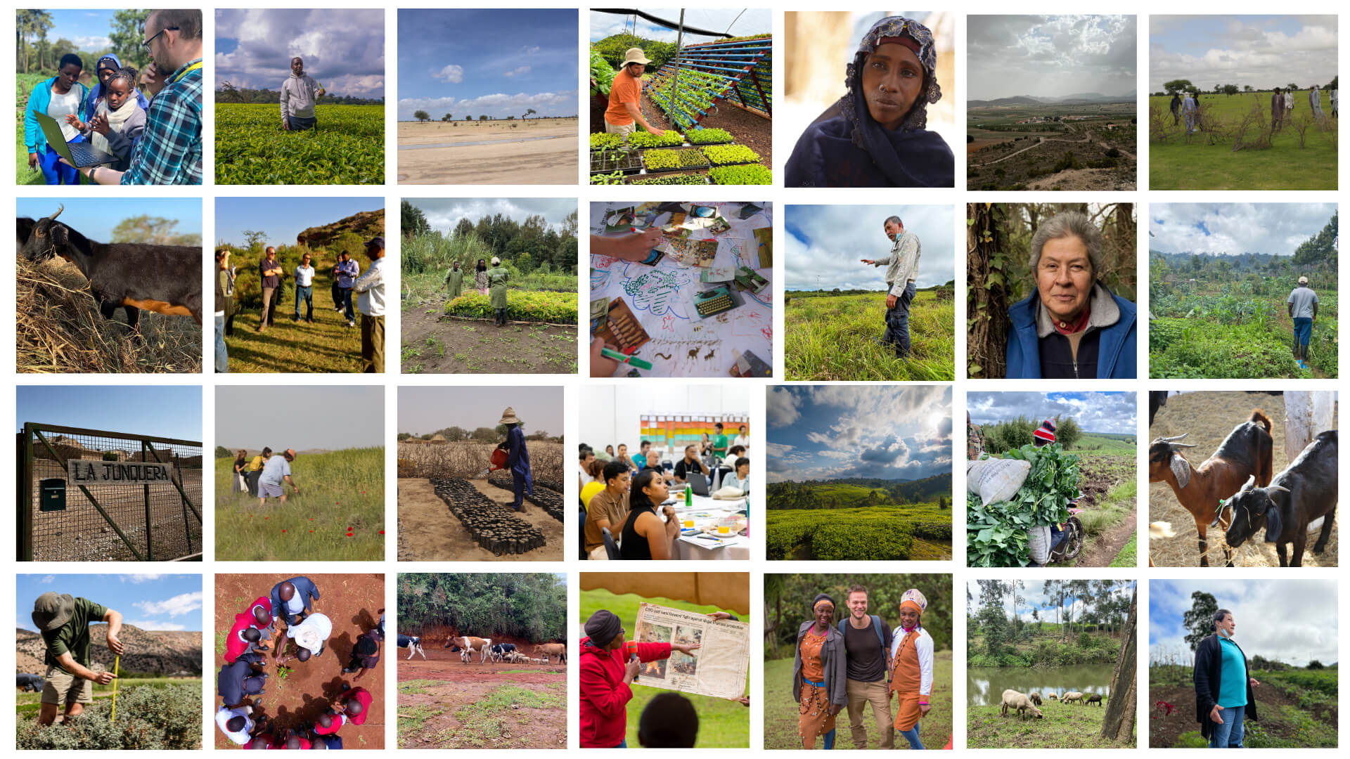 Landscapes in Action: Stories From the Field (multimedia)